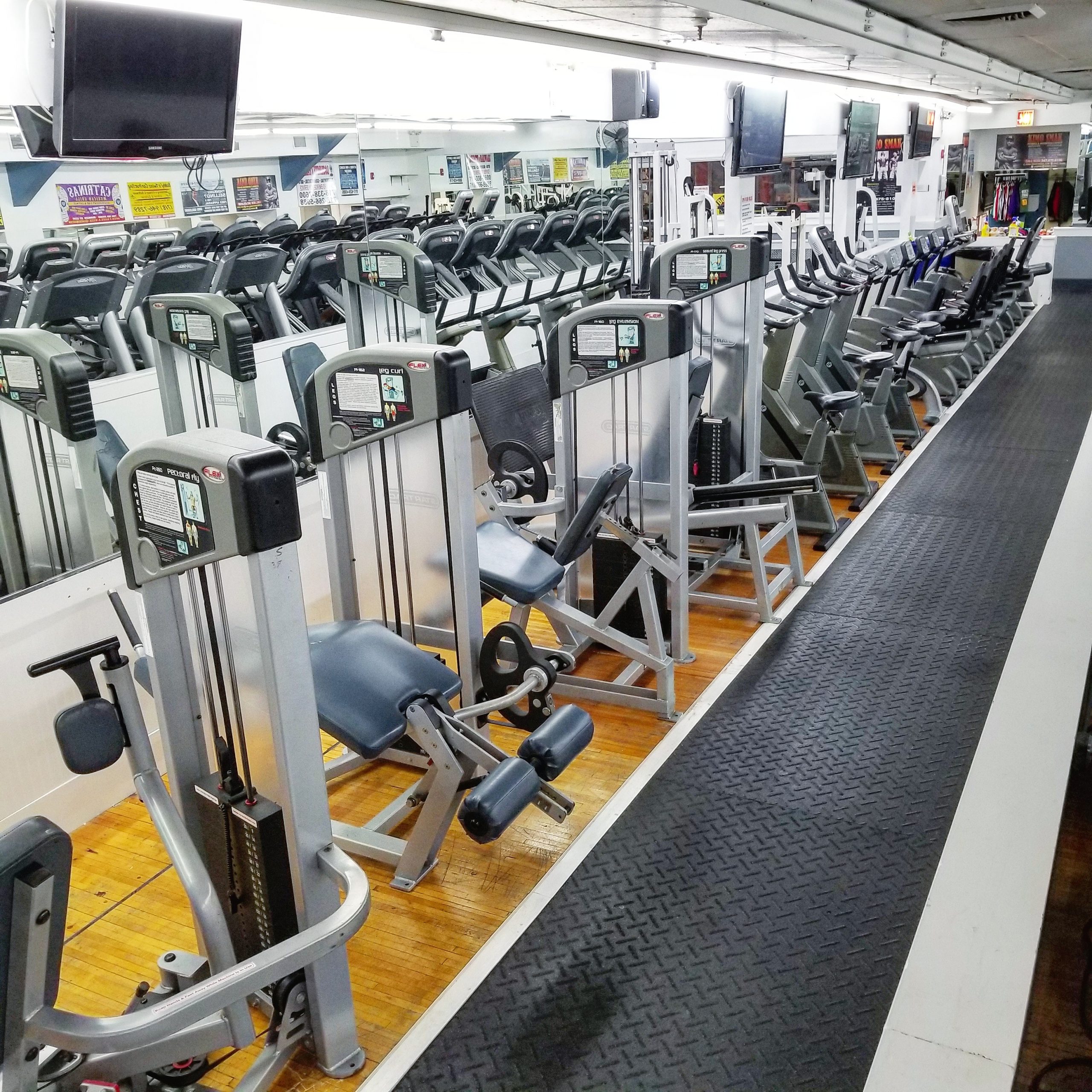 About Dolphin Fitness Clubs | NYC Health Club Gym